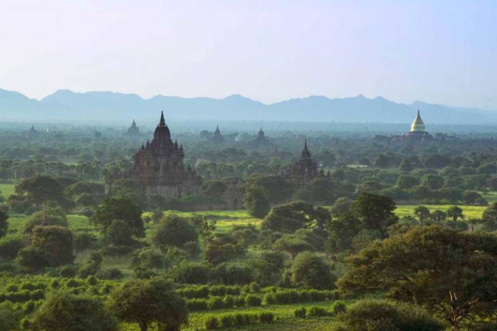 Suu Foundation Home - Suu Foundation